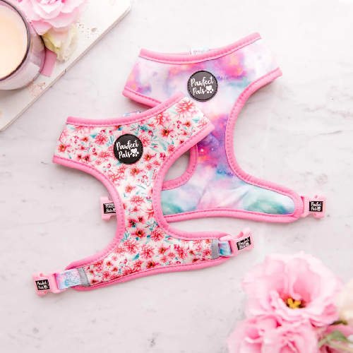 Pawfect Pals Pick of the Bunch/Dreamy Days - Reversible Dog Harness | Ma & Pa's Pet Delights