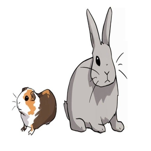 Guinea Pig and Rabbit Pellets - Premium 1kg | Ma & Pa's Pet Delights